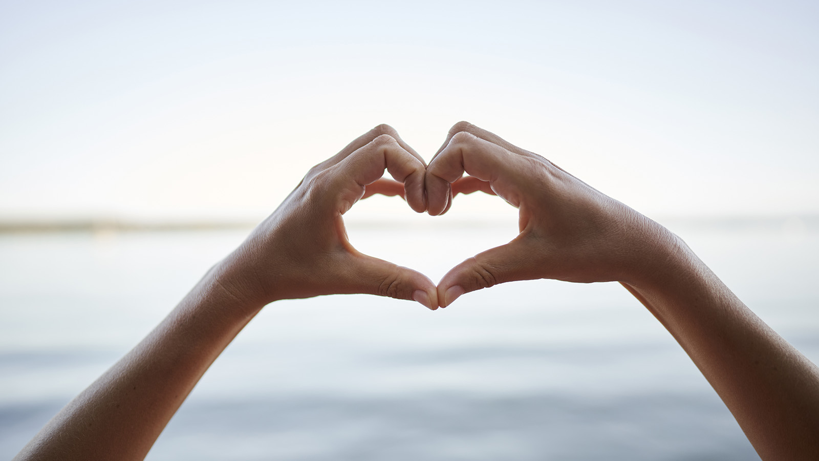 How to Manifest Love: Merging Mind and Heart – Wld.News